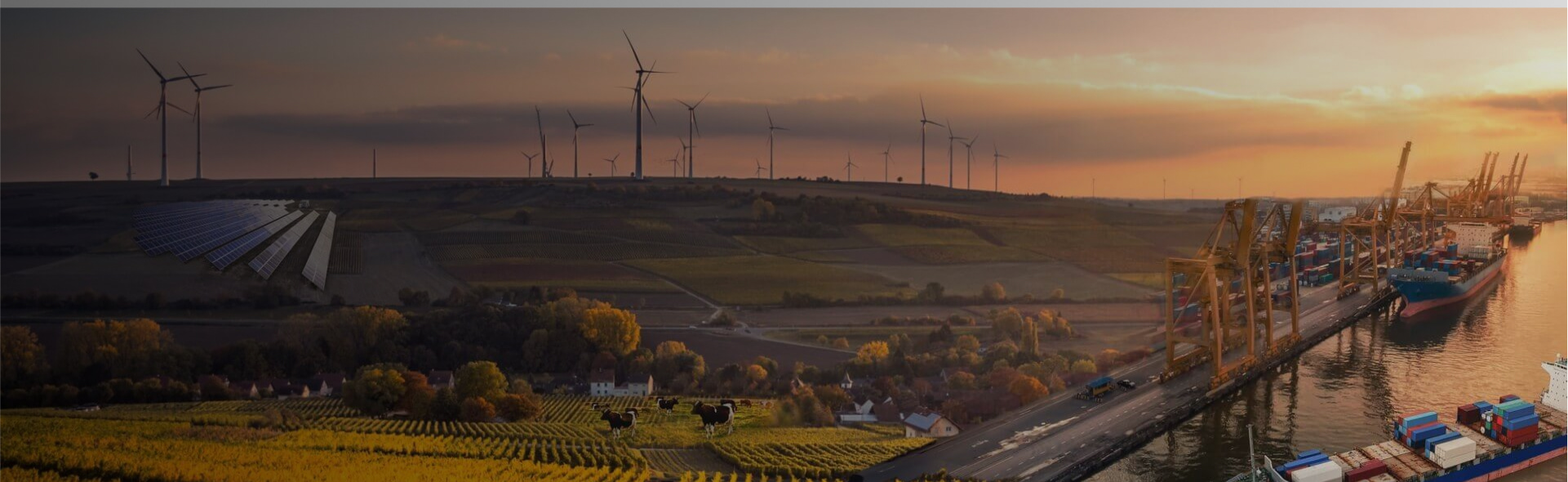 Global Corporate Financing and Banking Advisory | Rabobank